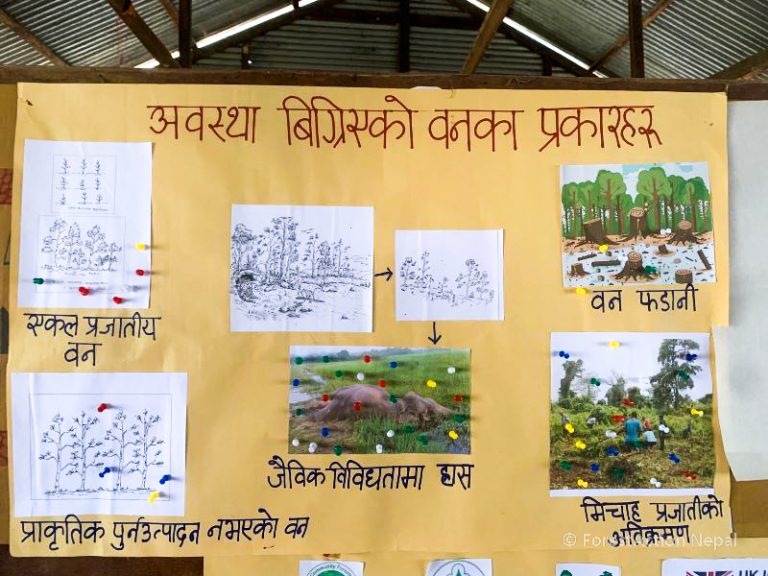 Forest Landscape Restoration activities begins in Ramdhuni, Sunsari ...