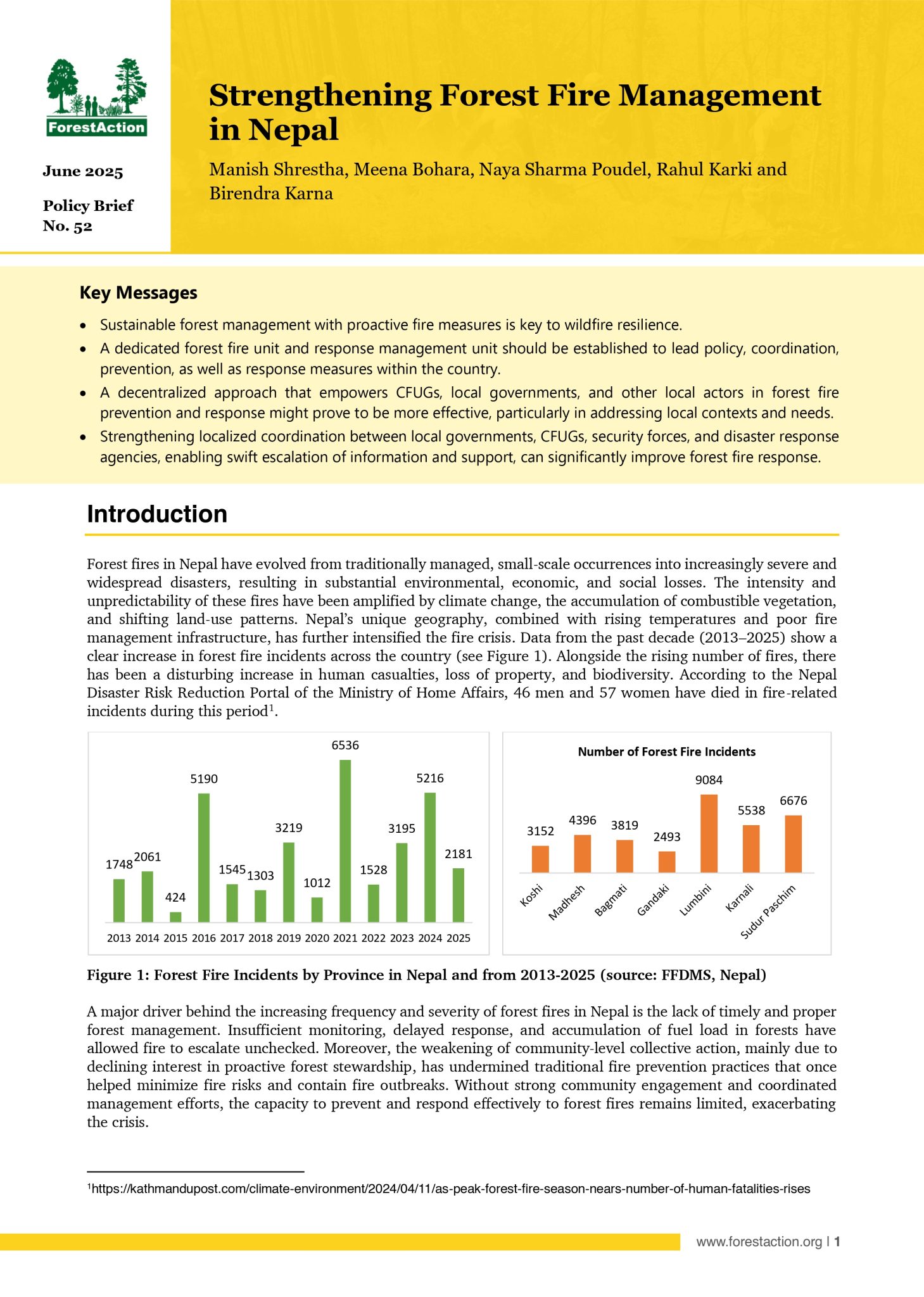 Strengthening Forest Fire Management in Nepal - ForestAction Nepal