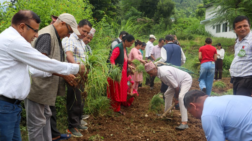 1st National Millets Day celebrated at Lamjung Krishi Campus ...