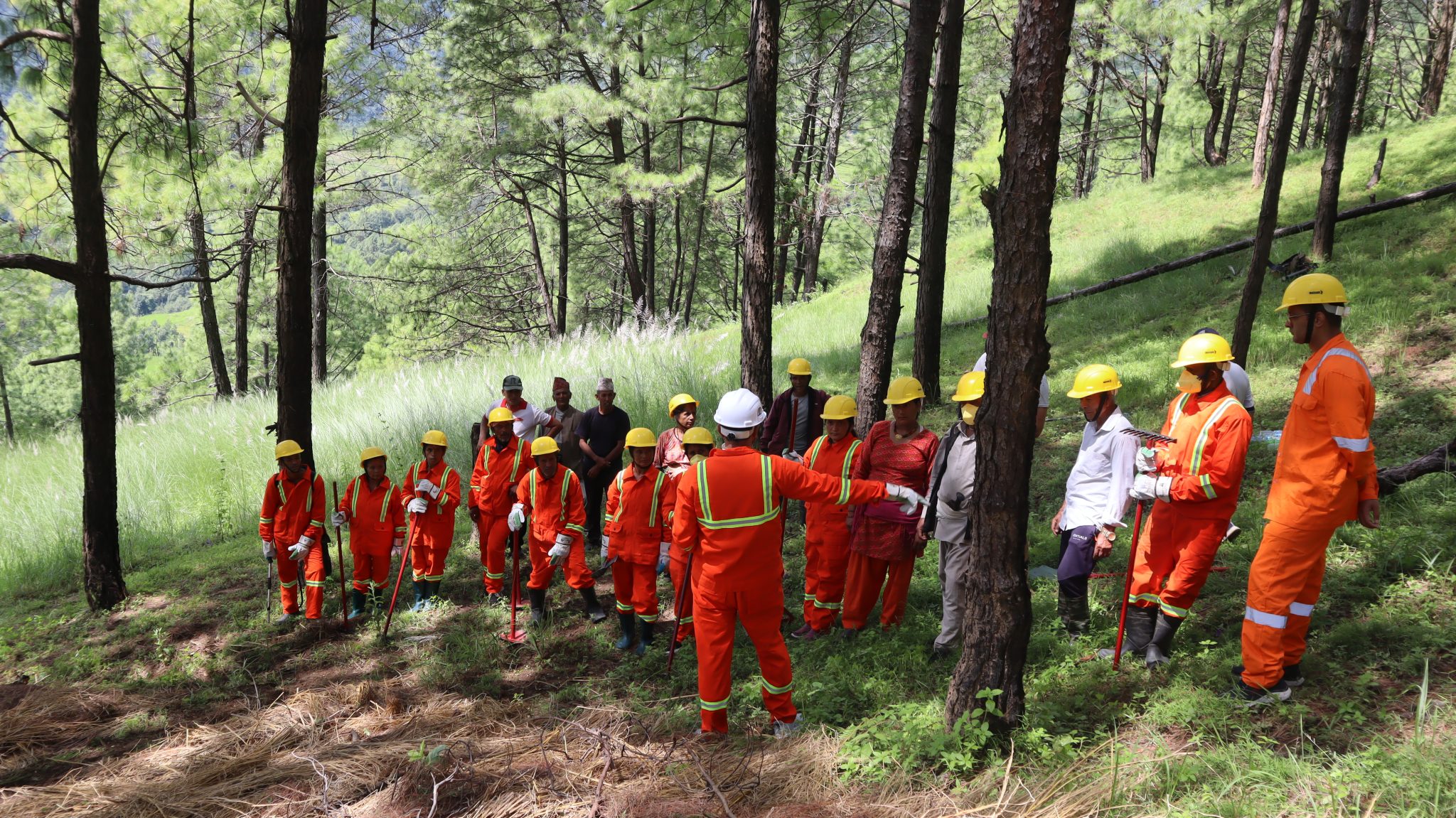 Forest Fire Response and Safety Protocols Training Conducted in Dolakha ...